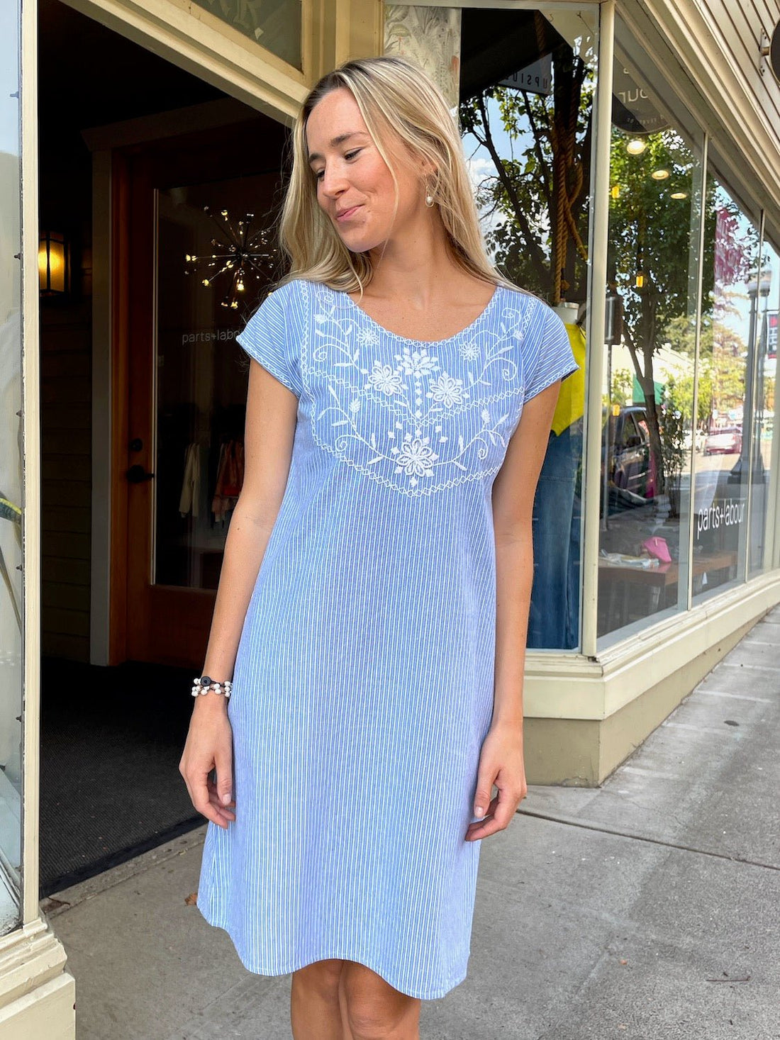 Emma Sky Blue Pinstriped Shift – Abrazo Style Shop